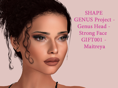 Second Life Marketplace - SHAPE - Genus Head - Strong Face GIFT001 #17
