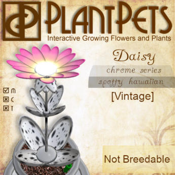 Second Life Marketplace - PlantPet Seed [Daisy *Spotty Hawaiian*] RARE ...