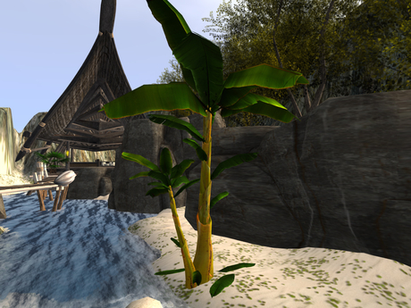 Second Life Marketplace - 2 Banana Trees
