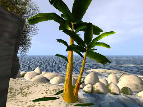 Second Life Marketplace - 2 Banana Trees