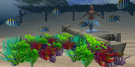 Second Life Marketplace - WoW Underwater Scene, Fish & Water Plants