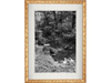 Second Life Marketplace - Original Photo, Mountain Stream, Wood Mesh Frame