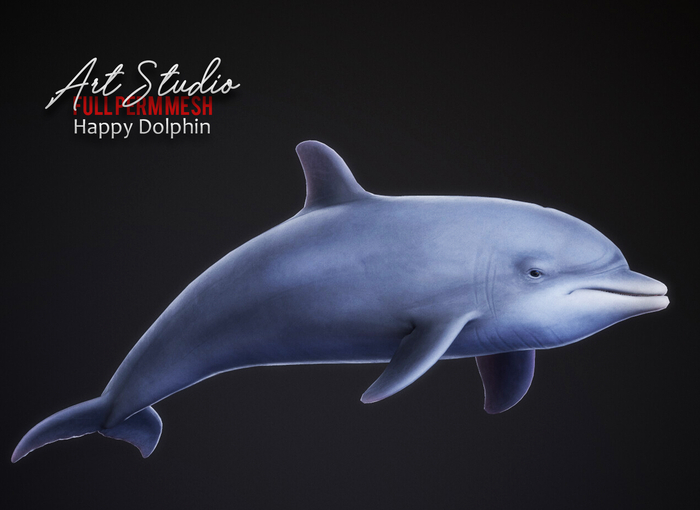 Second Life Marketplace - Art Studio.FULL PERM \\ Happy Dolphin
