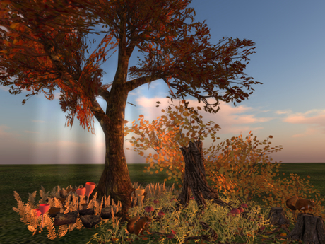 Second Life Marketplace - Nutwood ~ Autumn Forest ~ Autumn Animated ...