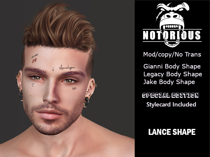 Second Life Marketplace - - Notorious - LELUKTA SKYLER HEAD SHAPE LANCE ...