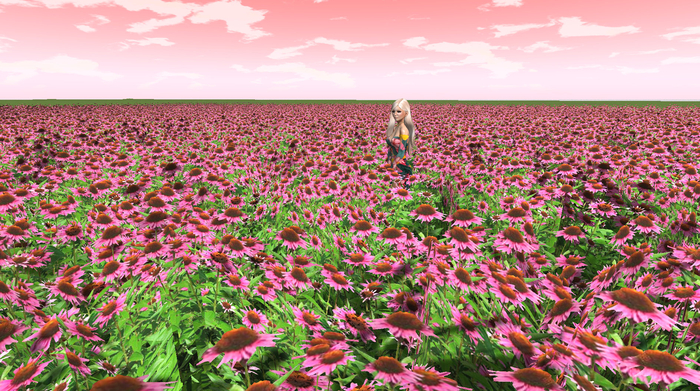 Second Life Marketplace - 2 LI "Low Lag Echinacea Meadow" any plant ...