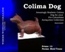 Second Life Marketplace - SQ Colima Dog c.250BC-250AD Boxed