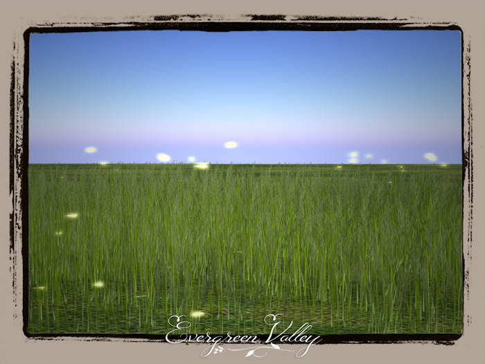 Second Life Marketplace - EV - Fluffy Sparkle Firefly Grass Light