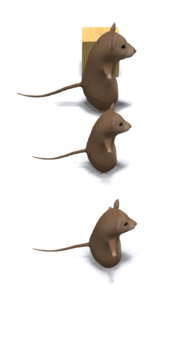 Second Life Marketplace - Mesh Mouse Avatar