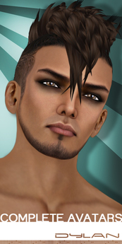 Second Life Marketplace - MADesigns COMPLETE AVATARS ~ Dylan