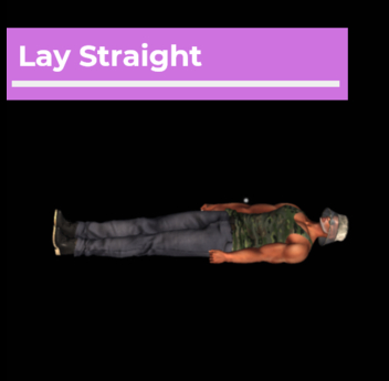 Second Life Marketplace - [Pose Ball] Lay Straight