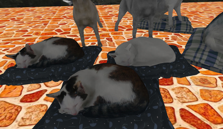 Second Life Marketplace - Dogs x cats decoration