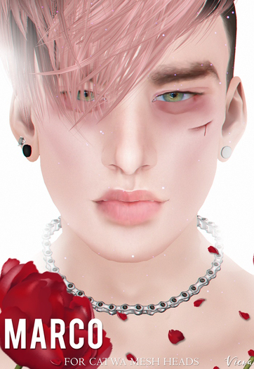 Second Life Marketplace - Viena. Marco Bento Shape Pack {Add me}