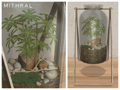 Second Life Marketplace - Mithral * Umbrella Tree Terrarium Fat Pack