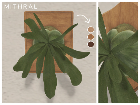 Second Life Marketplace - Mithral * Mounted Staghorn Fern (Rectangle)