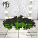 Second Life Marketplace - -MB- BOX LANDSCAPE - Pansies 1d Black