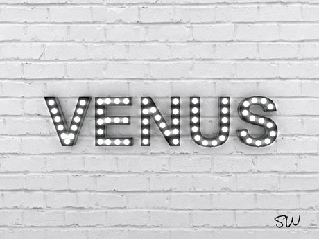 Second Life Marketplace - SW Marquee Venus