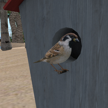 Second Life Marketplace - Hanging Bird House with animated singing Sparrows
