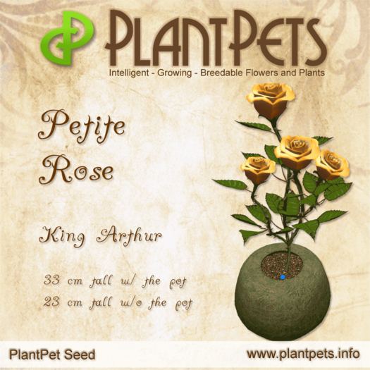 Second Life Marketplace - PlantPet Seed [Petite Rose *King Arthur*]