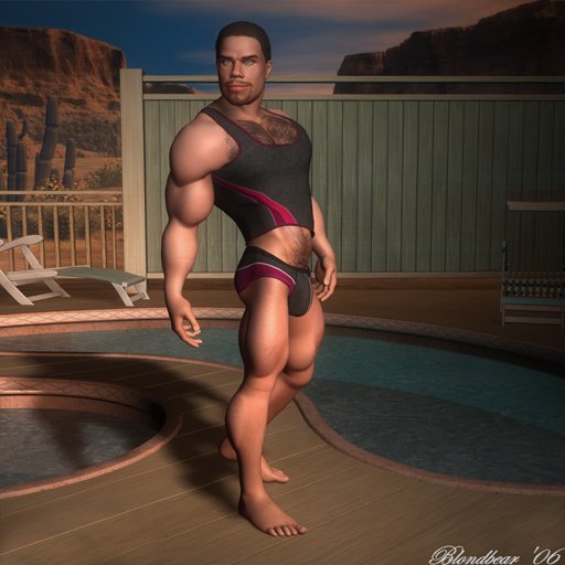 Second Life Marketplace Gay Erotic Art Of Blondbear Bbear D121