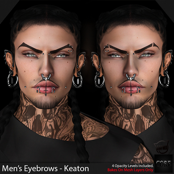 Second Life Marketplace - ::: Core ::: Men's Eyebrows - Keaton (Catwa bom)