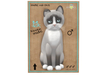 Second Life Marketplace - KittyCatS Box - 9T - M - Snowshoe - Bluepoint