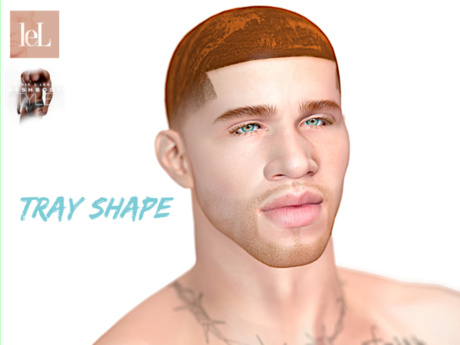 Second Life Marketplace - Tray Shape - Lelutka Luka & Legacy Athletic ...