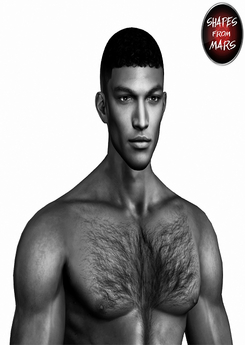 Second Life Marketplace - [SFM] Zeus Male Shape ! Lelutka Head Skyler ...