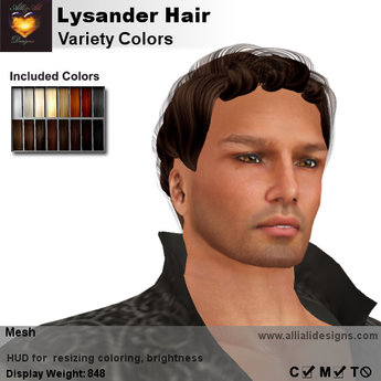 Second Life Marketplace - A&A Lysander Hair Variety Colors V2, Men's ...