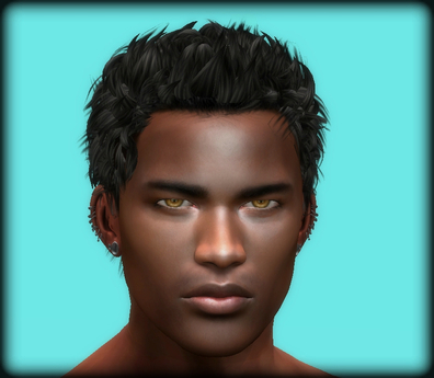 Second Life Marketplace - Apolo777 Gianni Daniel Tray (Stray Dog ) Skin