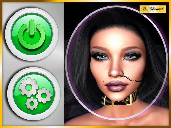 Second Life Marketplace - C.CHANTAL CG FACELIGHT 4.1.