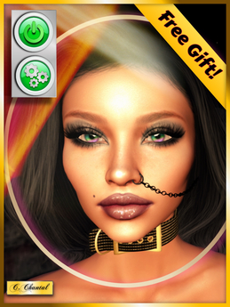 Second Life Marketplace - C.CHANTAL CG FACELIGHT 4.1.