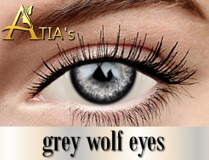 Second Life Marketplace - ATIA's Grey Wolf Eyes