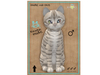 Second Life Marketplace - KittyCatS Box - 8T - M - Toyger - Snow