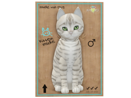 Second Life Marketplace - KittyCatS Box - 8T - M - Toyger - Snow