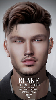 Second Life Marketplace - FT - Blake Beard