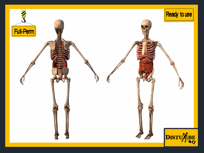 Second Life Marketplace - ::DisturbeD:: Skeleton - FULL PERM MESH