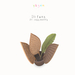 Second Life Marketplace - Yugen.// ili fans.// - packaged [add me]