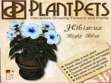 Second Life Marketplace - PlantPet Seed [Hibiscus Dwarf *Light Blue*]