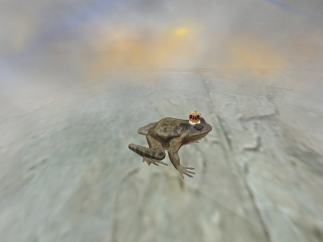 Second Life Marketplace - Emma's Exploding Frog King