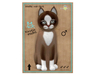 Second Life Marketplace - KittyCatS Box - 9 T - M - Chateau Cat ...