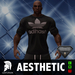 Second Life Marketplace - CENTURION AES TSHIRT ADIHASH VENDOR DK GREY