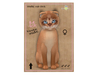 Second Life Marketplace - KittyCatS Box - 9 T - F - Abyssinian - Cinnamon