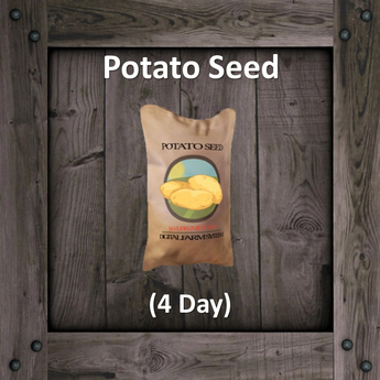 Second Life Marketplace - DFS Potato Seed V2.2 (Texture)
