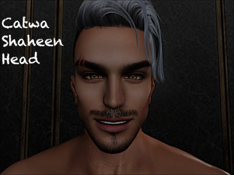 Second Life Marketplace - Belleza Jake Body Shape