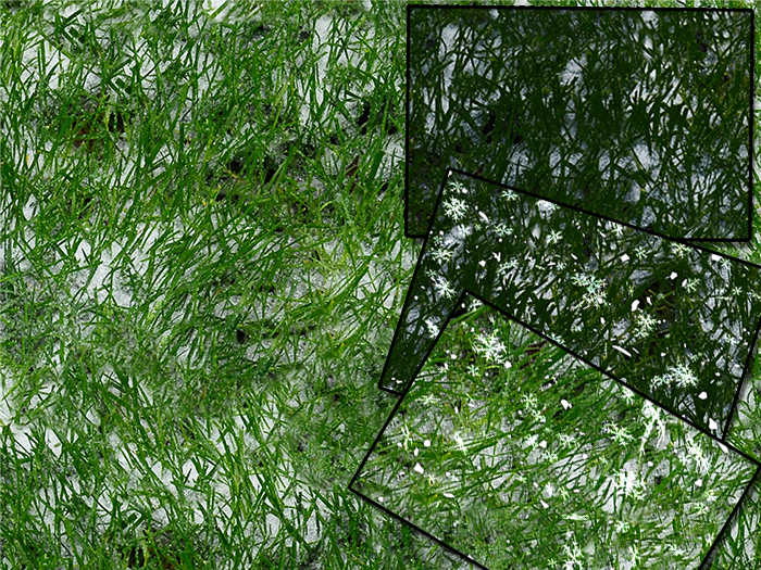 Second Life Marketplace - Winter Snow Grass Texture Green Seamless