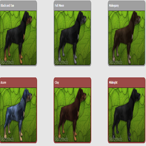 Second Life Marketplace - BB Rotty Box Female STARTER