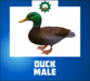 Second Life Marketplace - DFS DUCK MALE (texture)