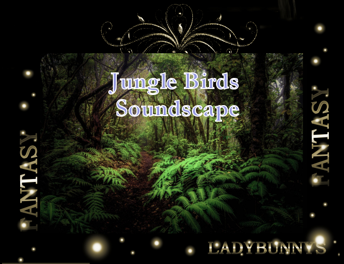 Second Life Marketplace - Soundscapes-Rock-Jungle Birds Soundscape