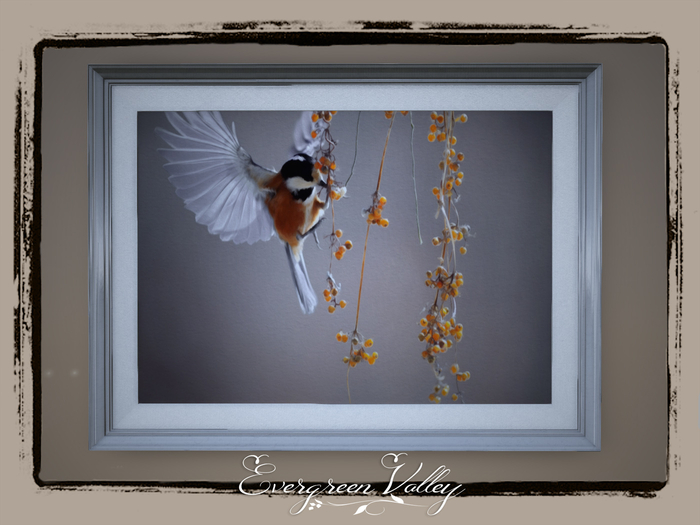 Second Life Marketplace - EV - Picture Frame 12